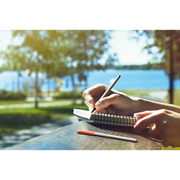 Edding 89 Office Liner EF Fineliner, farbsortiert, 0,3 mm, wischfest ...