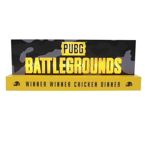 NEAMEDIA THE CHARACTER COMPANY ICONS PUBG: Battlegrounds - The Official ...
