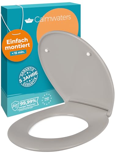 Wc Sitz Absenkautomatik Test