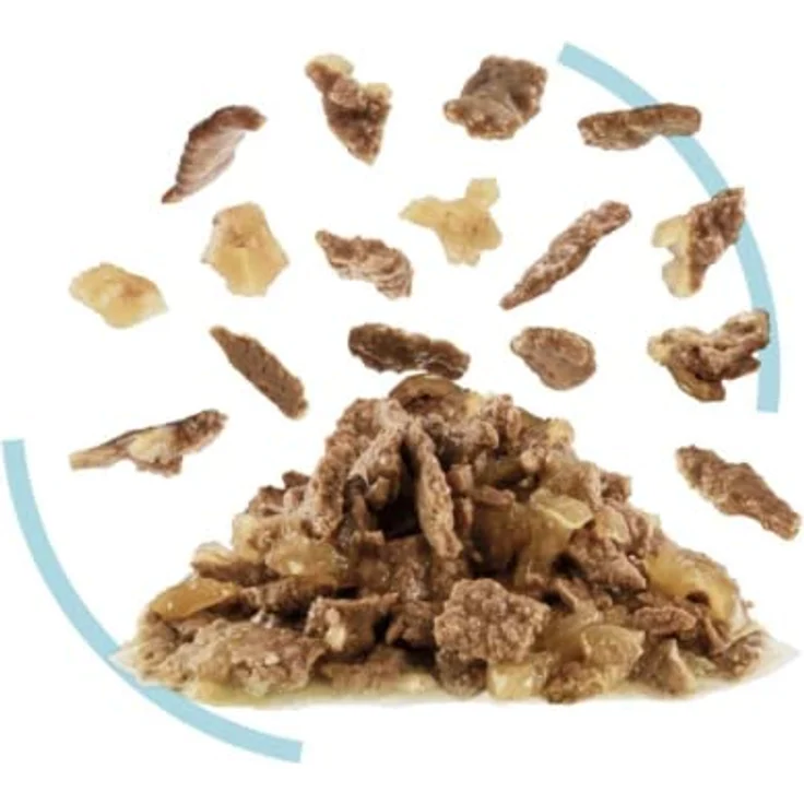 Royal Canin Sensory Feel Jelly, Nassfutter für ausgewachsene Katzen ...