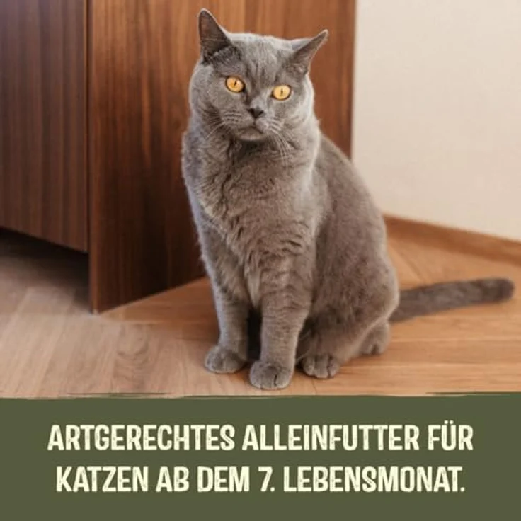 GimCat Near Nature Mix, Katzen-Nassfutter mit 70% Fleisch, 12x85g ...