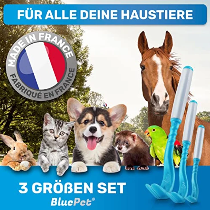 Fabelhafte Flohhalsbnder Fr Hunde Bild